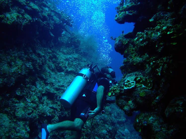 Costa Maya Scuba Diving - 1 or 2 Tank Dives US$89