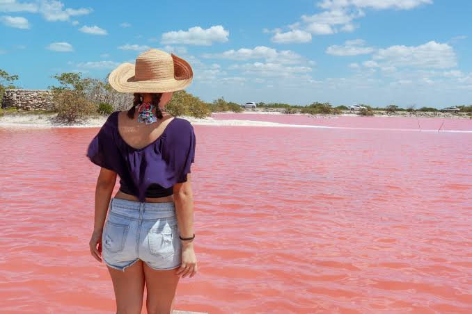 Progreso Excursion: Xcambo Mayan Ruins, Flamingos, Pink Lagoon, and ...